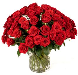 Four Dozen Red Roses Arranged Beautifully